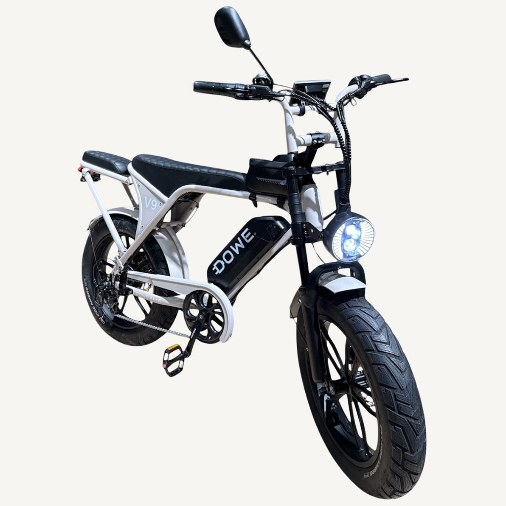 Elektrische Fatbike kopen | Dowe Haarlem – Originele onderdelen & service