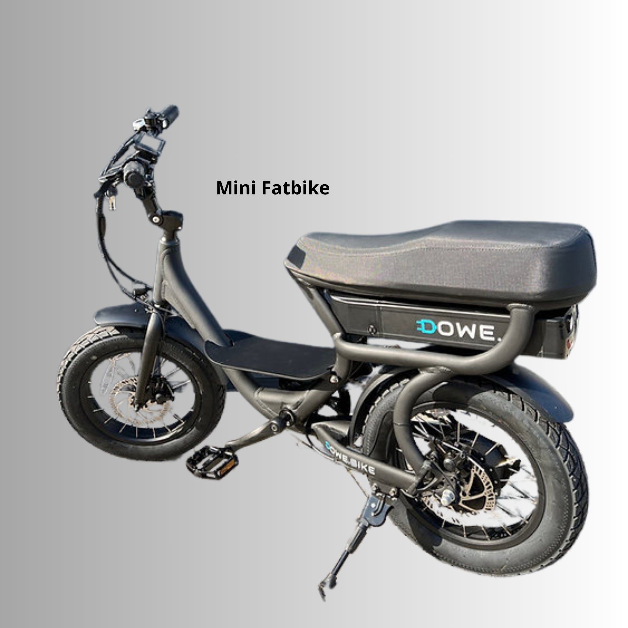 Dowe GTR Elektrische Fatbike - 250W - Niet Opvoerbaar – Dowe.Bike